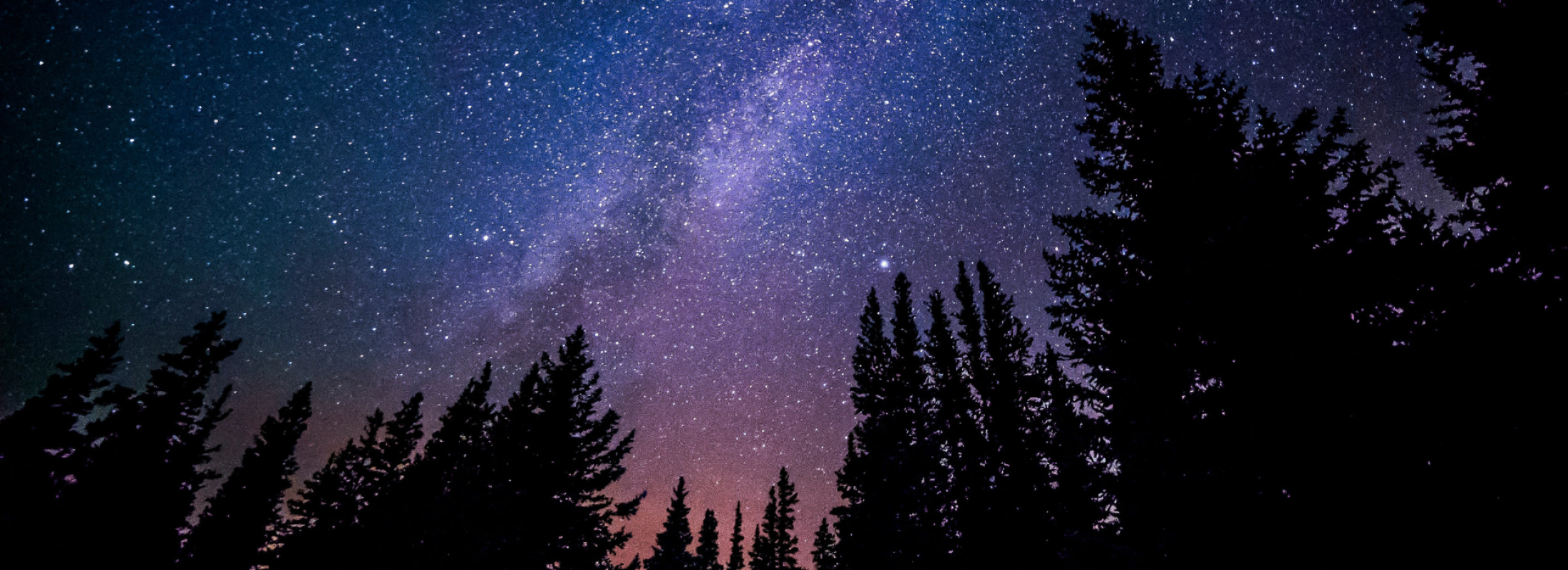Under the Night Sky: Indigenous Constellation Teachings - Learning Bird