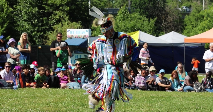 Welcome to Learning Bird